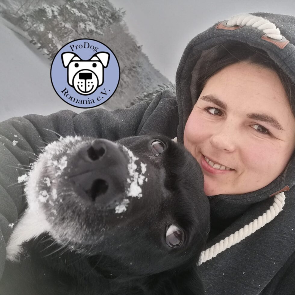 Unser PDR Team - ProDog Romania e.V.